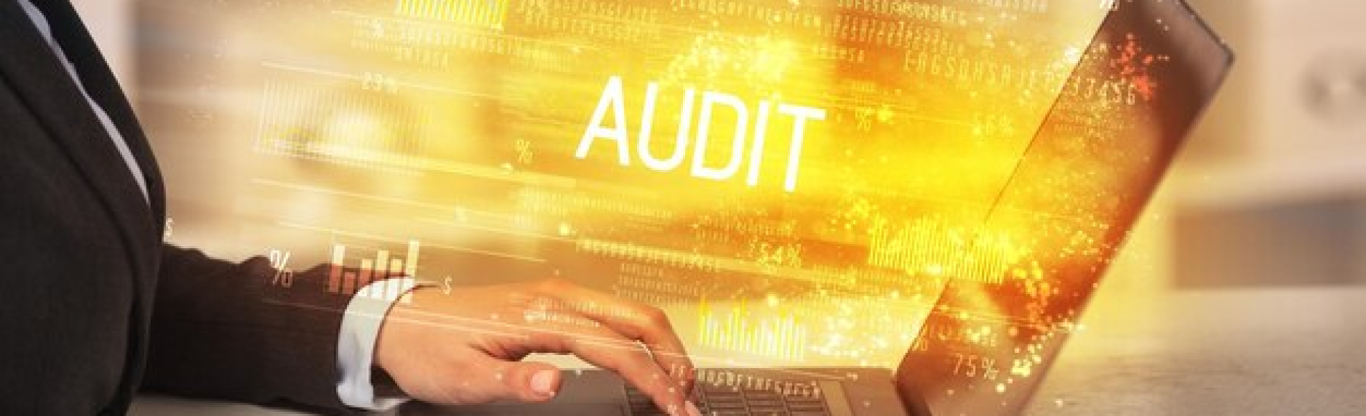 Loan Balance Fraud Audit Findings That Commonly Impact Payoff Disputes ...